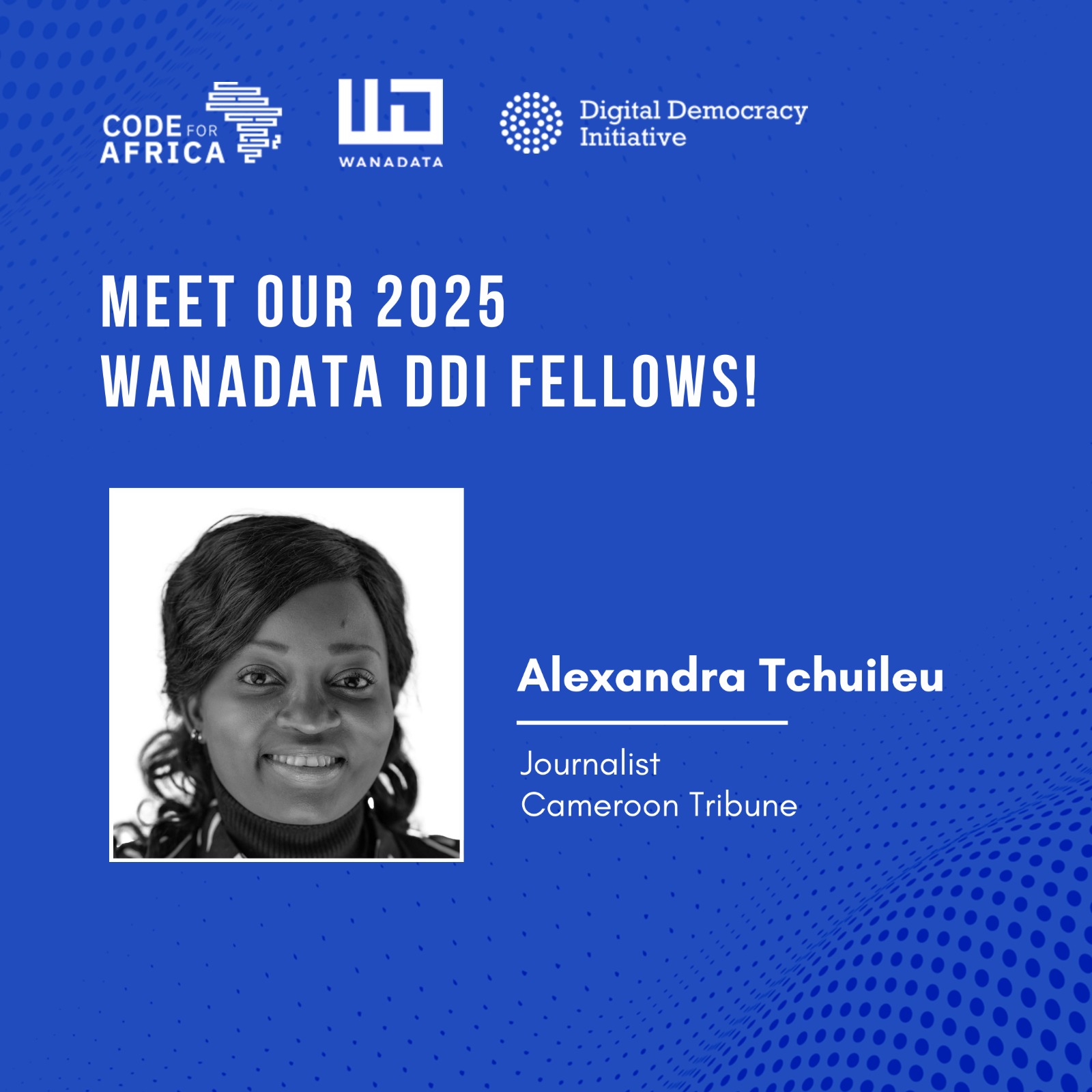 WanaData DDI Fellowship 2025 : des femmes, des data et de l’équilibre ...